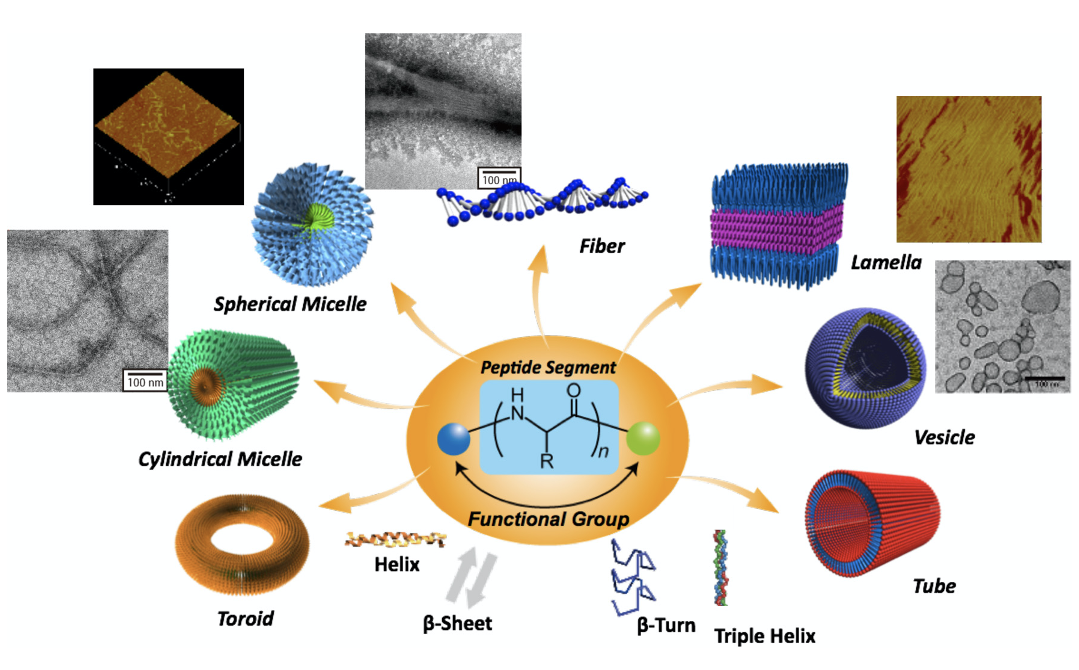Research | Polymer Chemistry Laboratory, Doshisha University