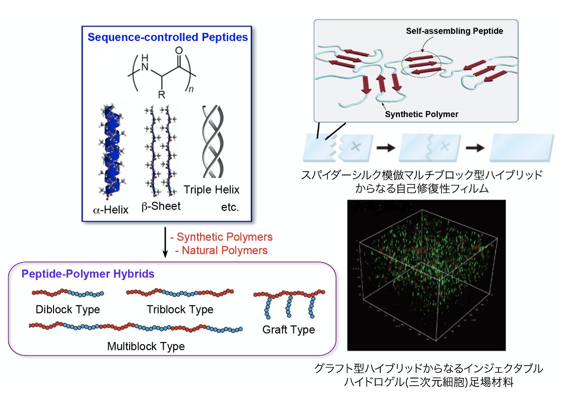 Research | Polymer Chemistry Laboratory, Doshisha University
